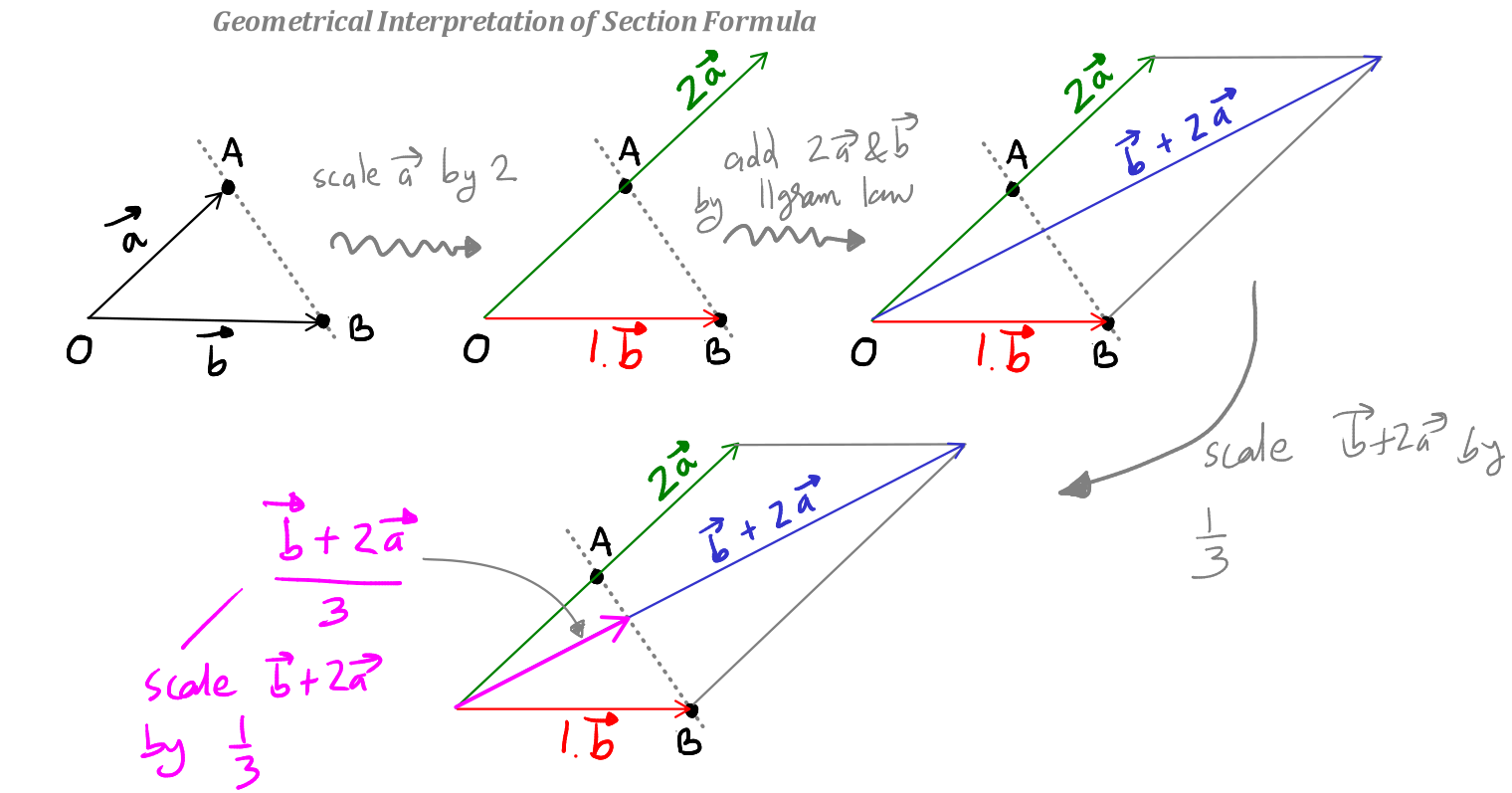 Section Formulae - Matherama